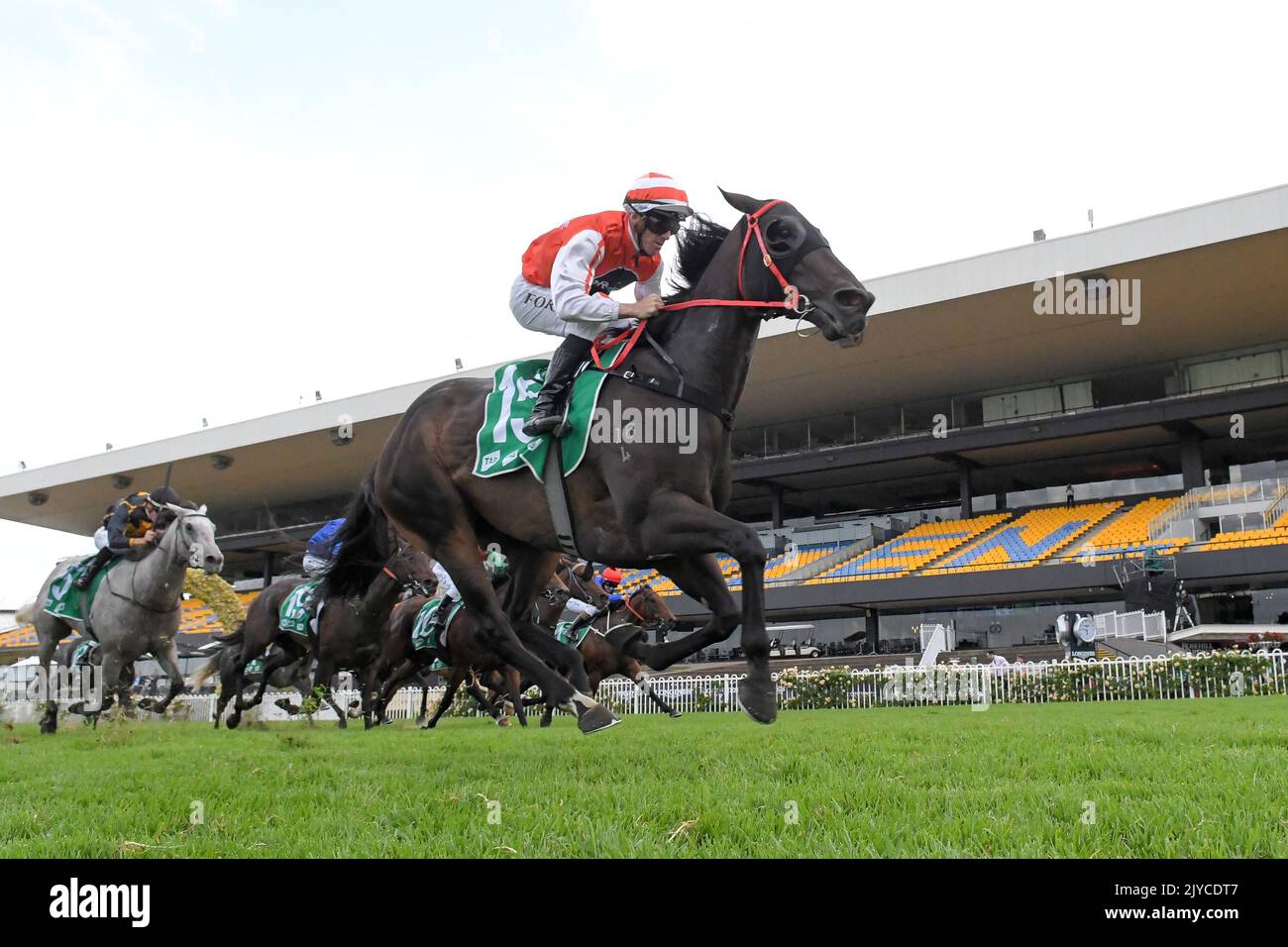 Jockey Jay Ford rides Miss Exfactor to victory in race 9, the TAB ...