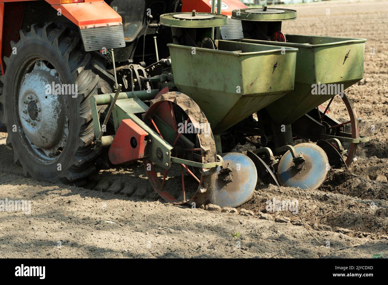 In the spring the potatoes are planted Stock Photo - Alamy