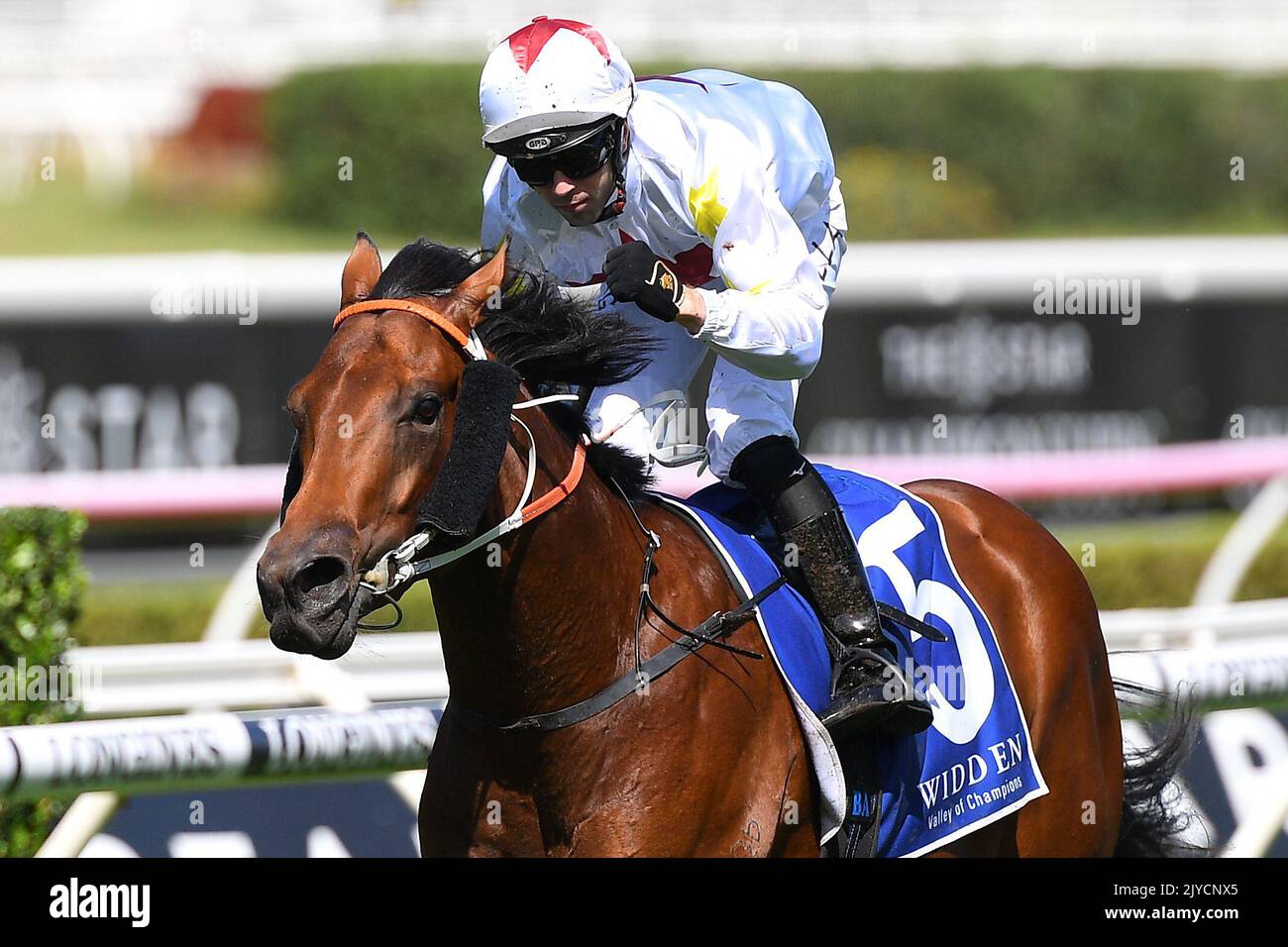 Jockey Brenton Avdulla gestures as he rides Doubtland to victory in ...