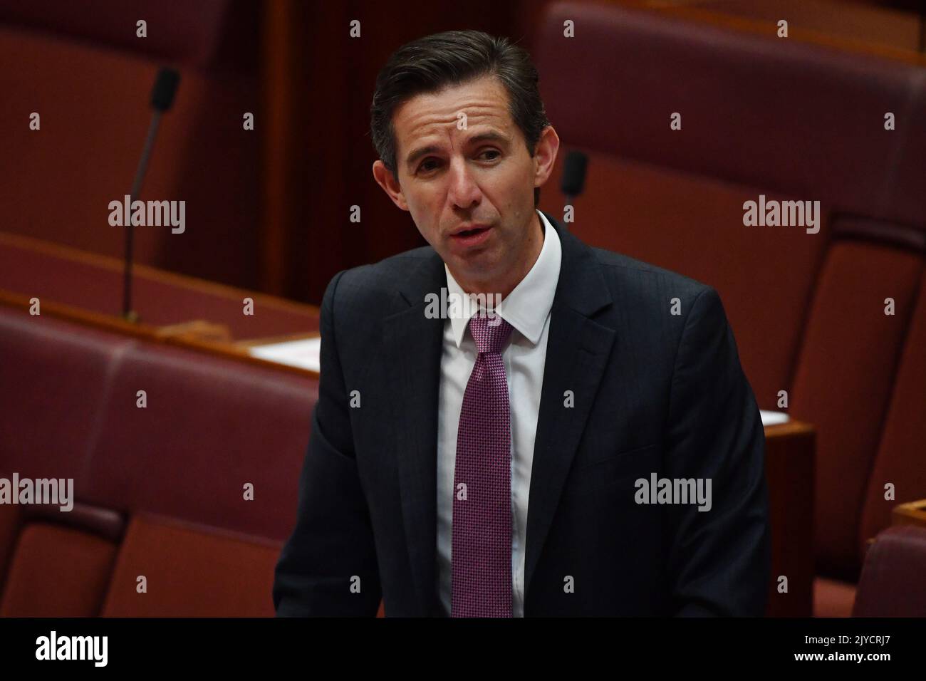 Minister for Trade Simon Birmingham during Question Time in the Senate ...