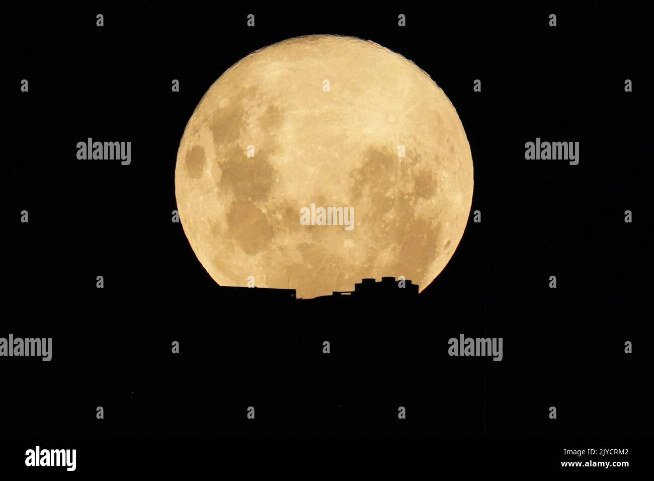The Pink Super Moon is seen behind a city building in Melbourne ...