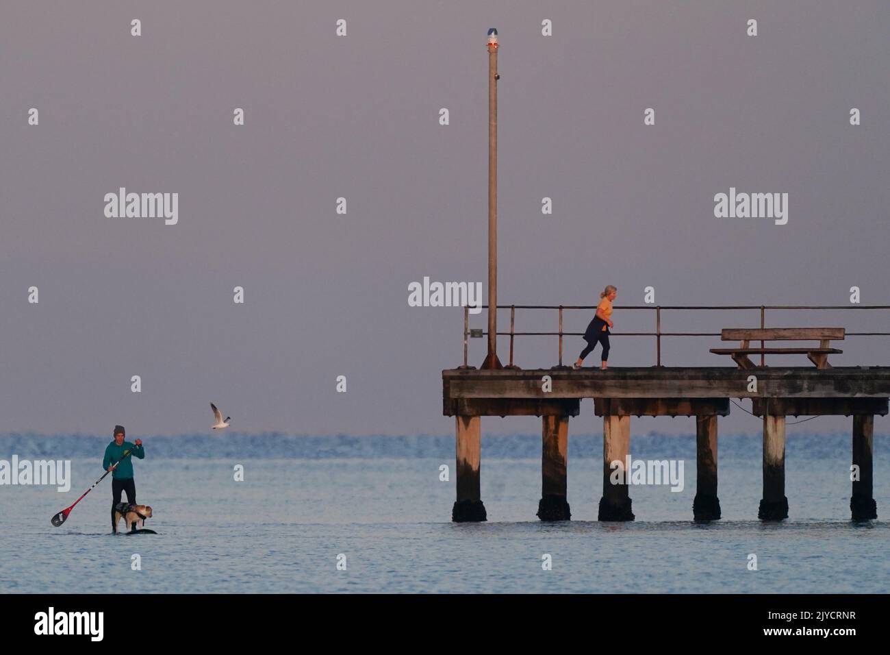 A paddle boarder is seen with his dog at Mordialloc beach, Thursday ...
