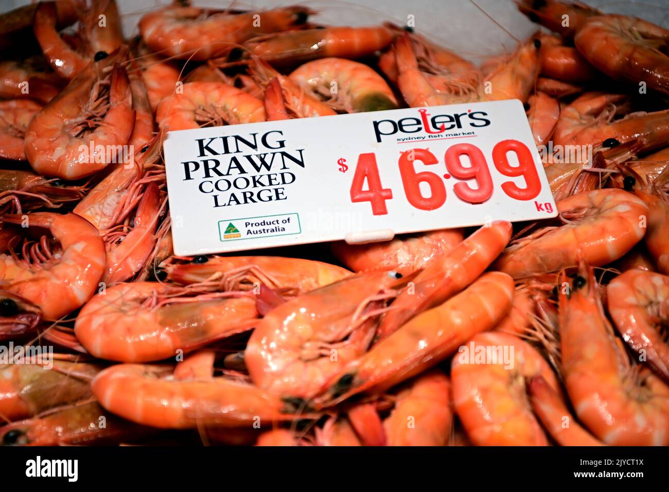 Prawns on display as social distancing measures are in place for Easter ...