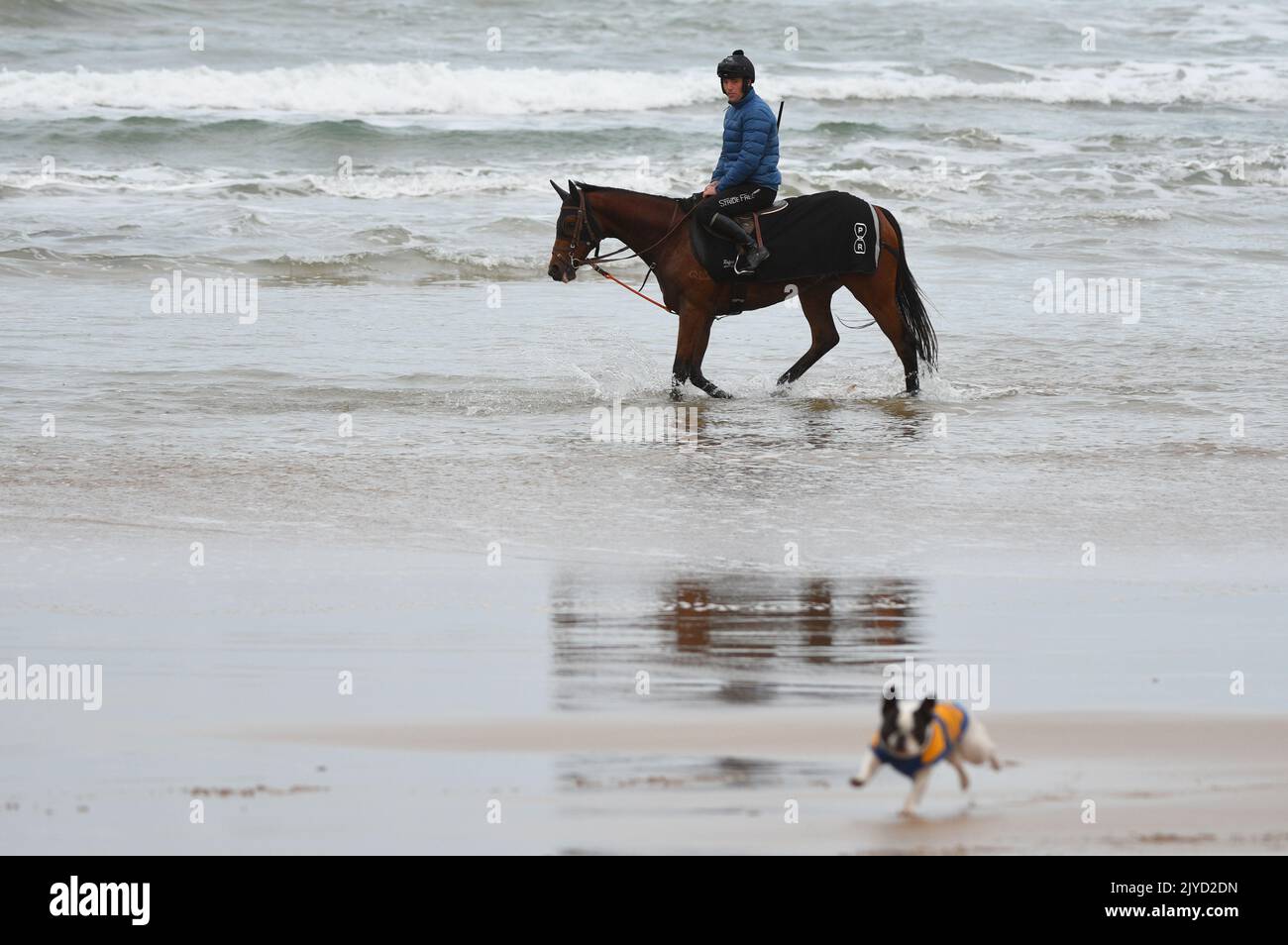 Champion jumps jockey Steven Pateman rides Ivan Grozny during a ...