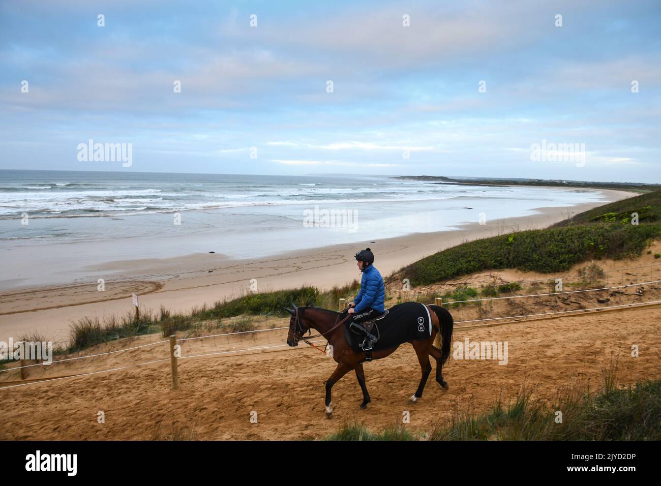 Champion jumps jockey Steven Pateman rides Ivan Grozny during a ...