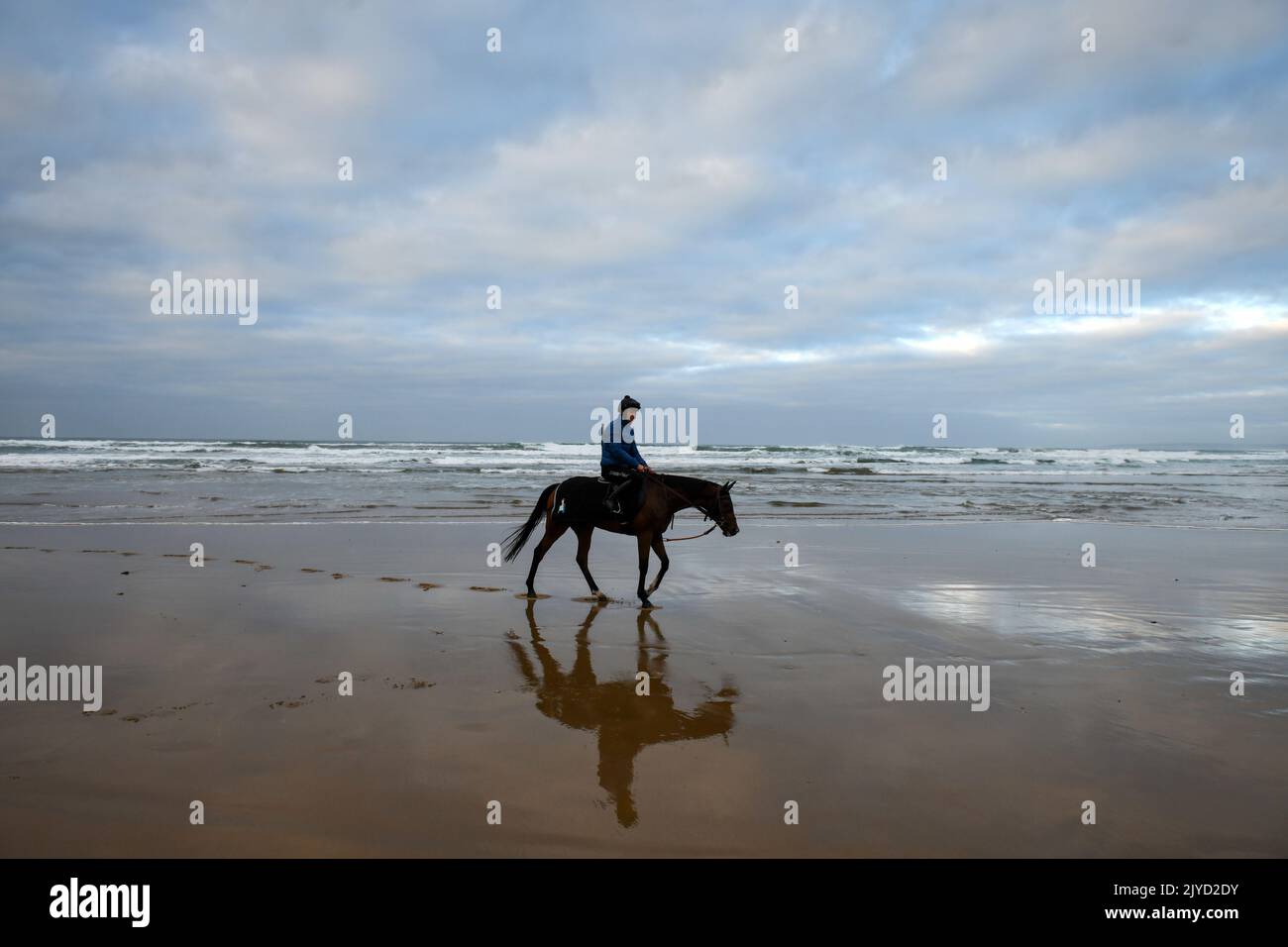 Champion jumps jockey Steven Pateman rides Ivan Grozny during a ...