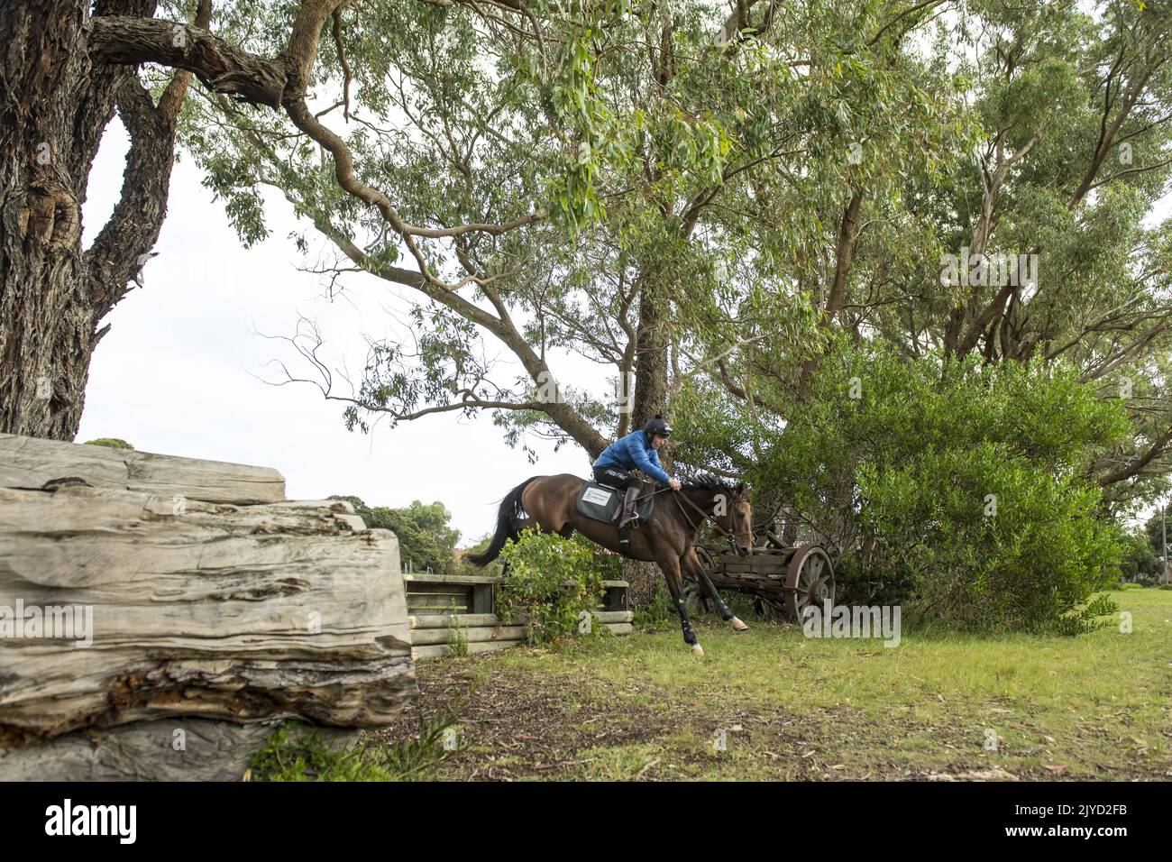 Champion jumps jockey Steven Pateman rides Siempro over the jumps ...