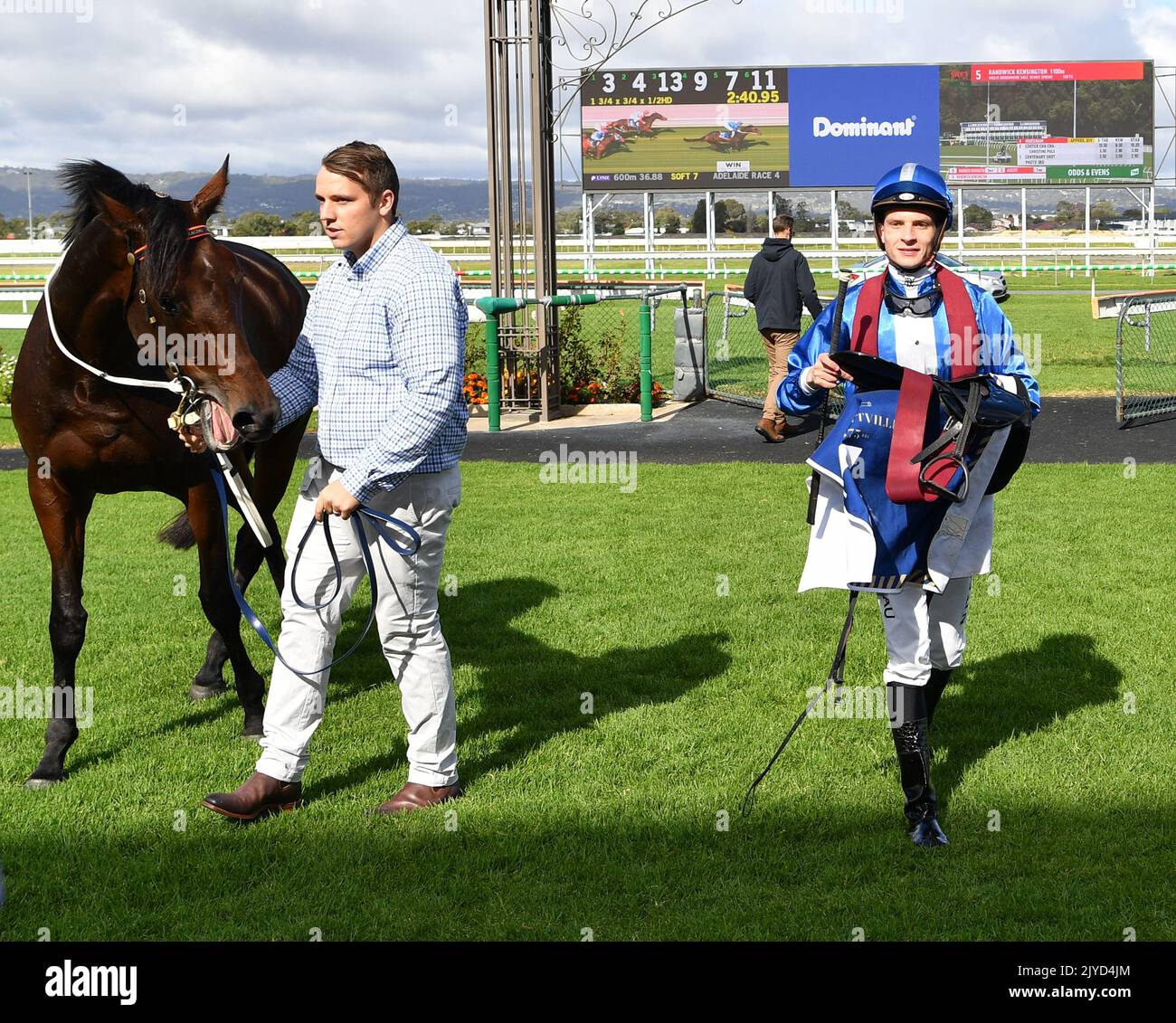 Jockey Zac Spain returns to scale after riding Oceanex to victory in ...