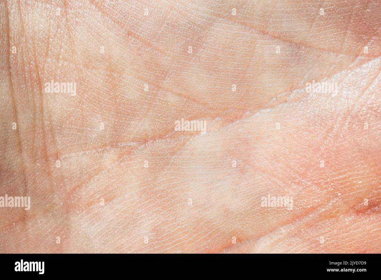 The texture of the skin of a human hand Stock Photo - Alamy