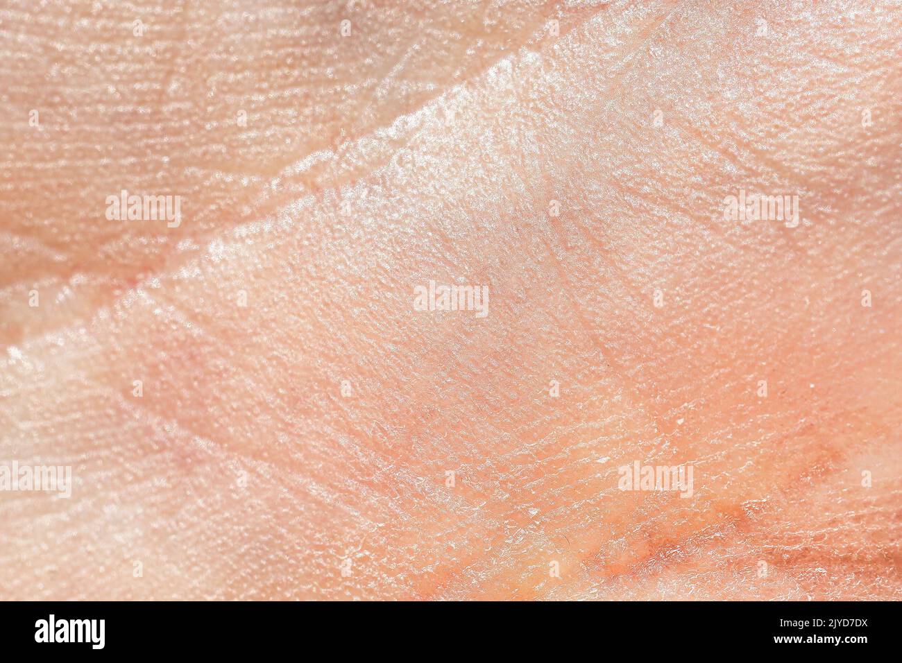 The texture of the skin of a human hand Stock Photo - Alamy
