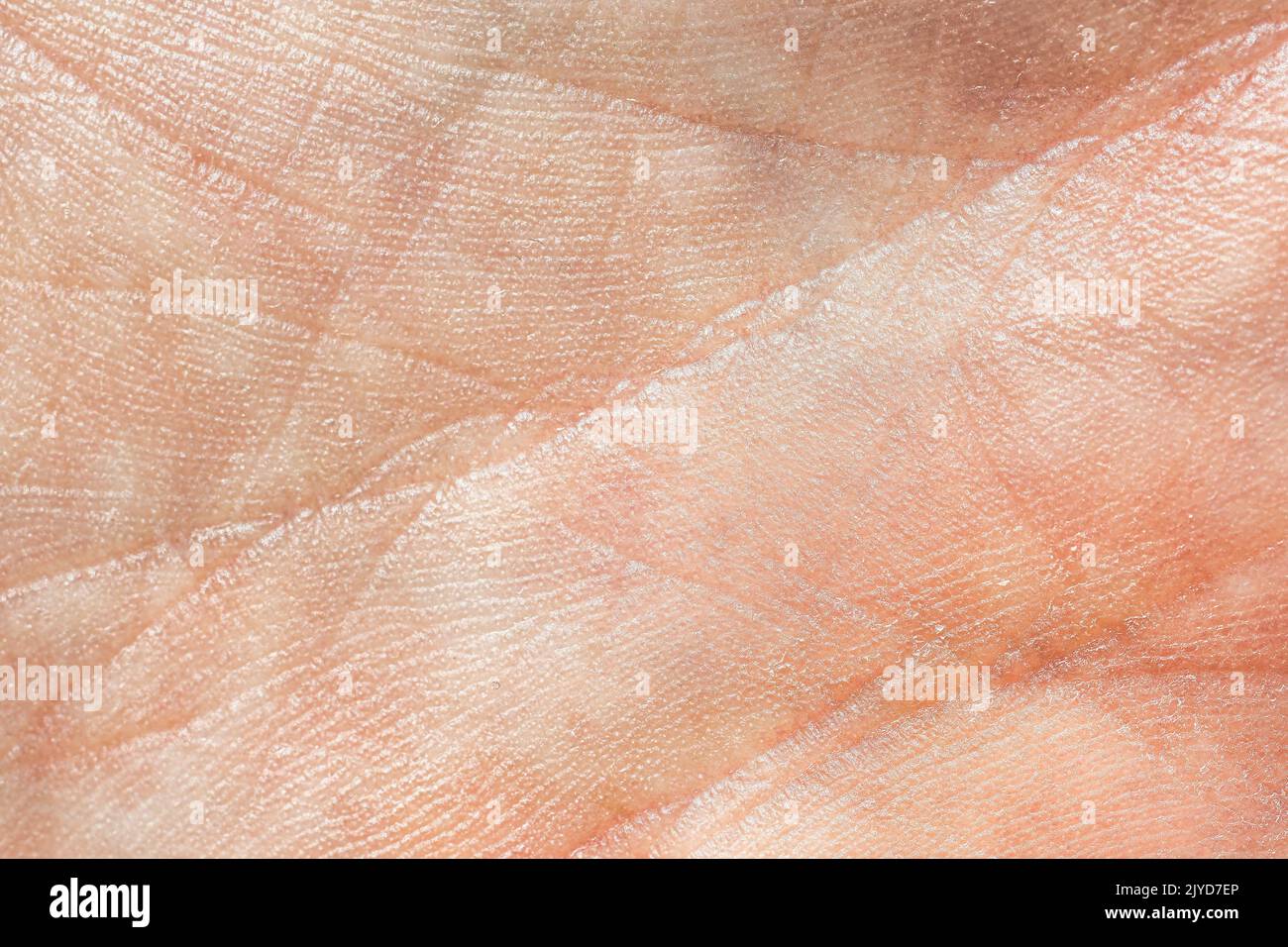 The texture of the skin of a human hand Stock Photo - Alamy