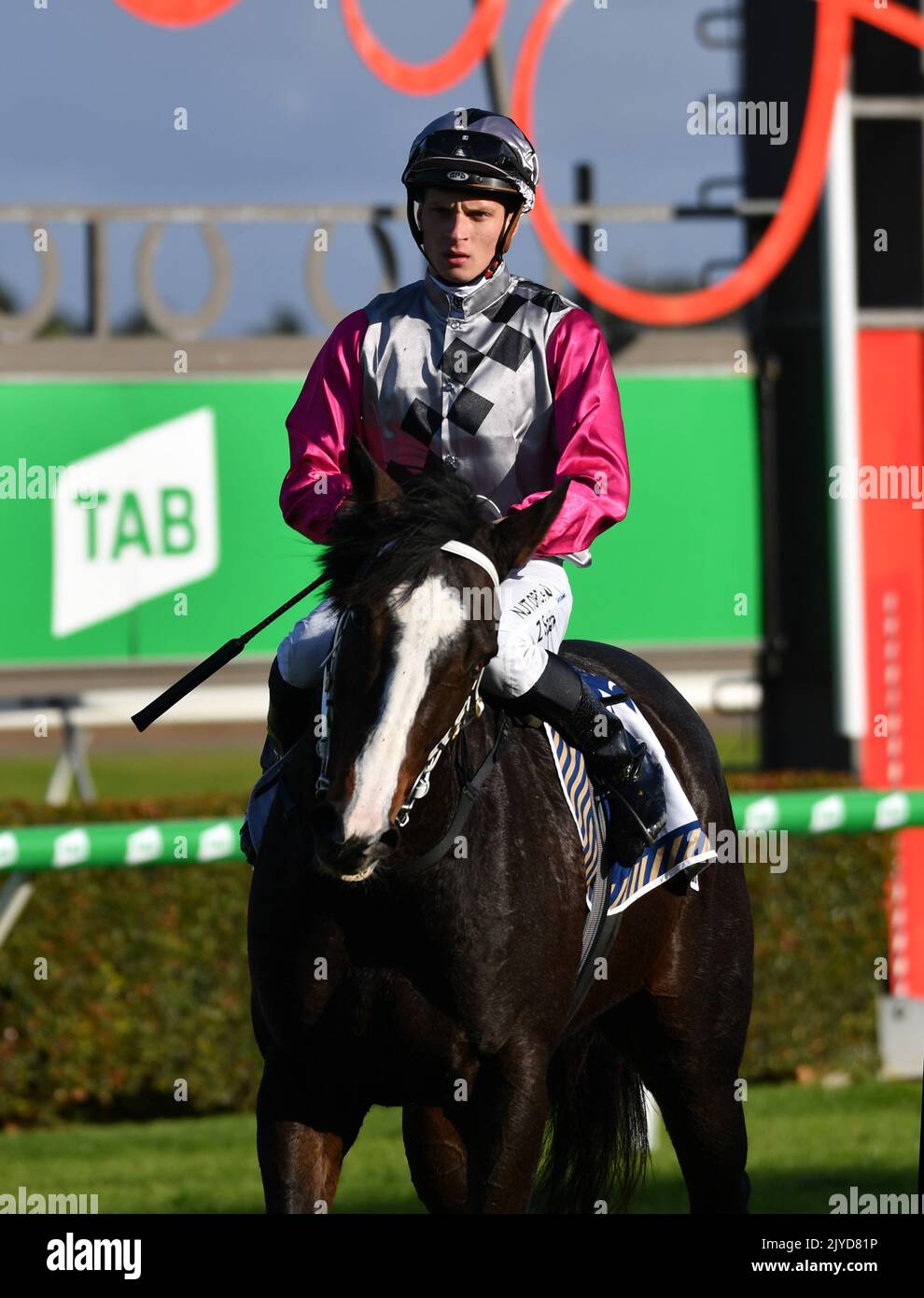 Jockey Zac Spain returns to scale after riding Miss Mandito to victory ...