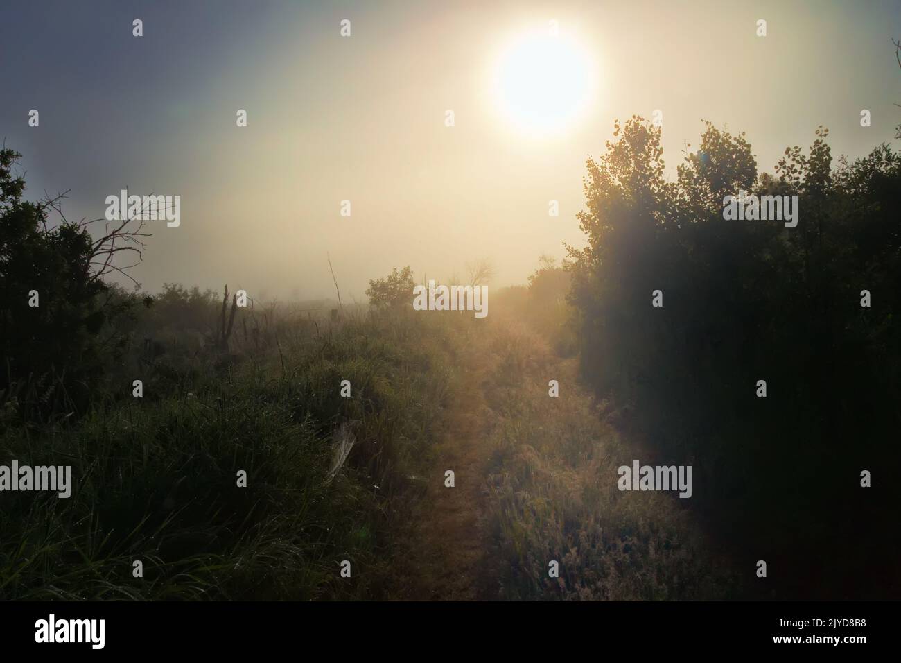 A cold foggy morning with a misty rising sun and a stalled road ...