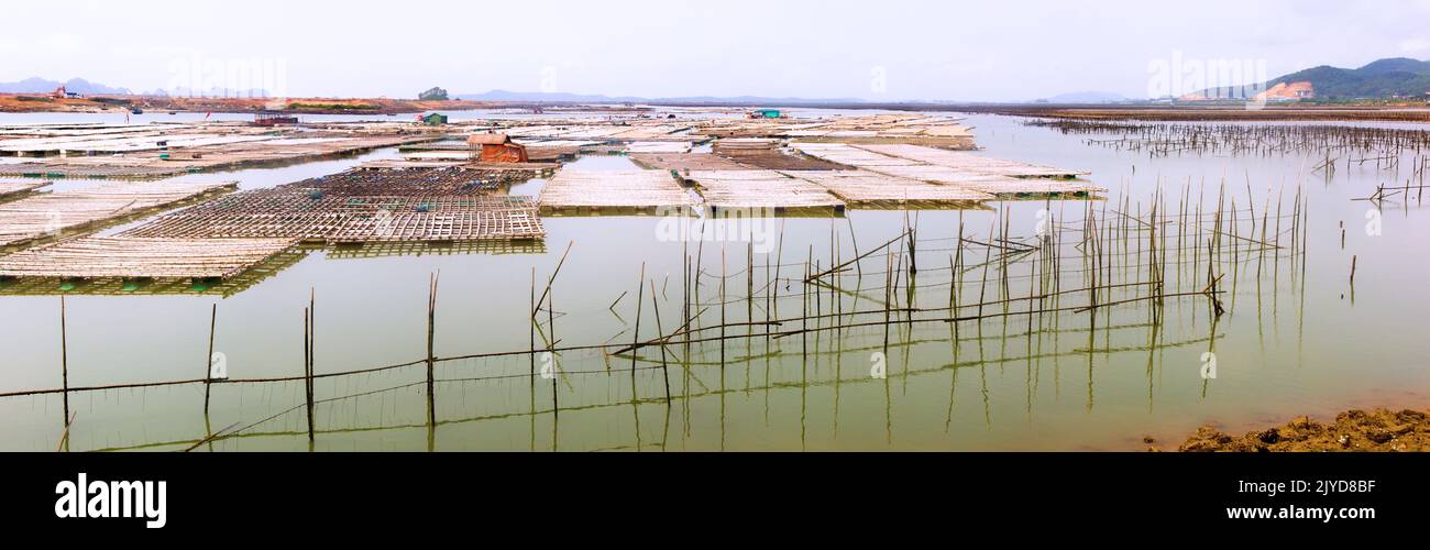 Culture seafood, produce from the sea (fruits de mer). Huge number of ...