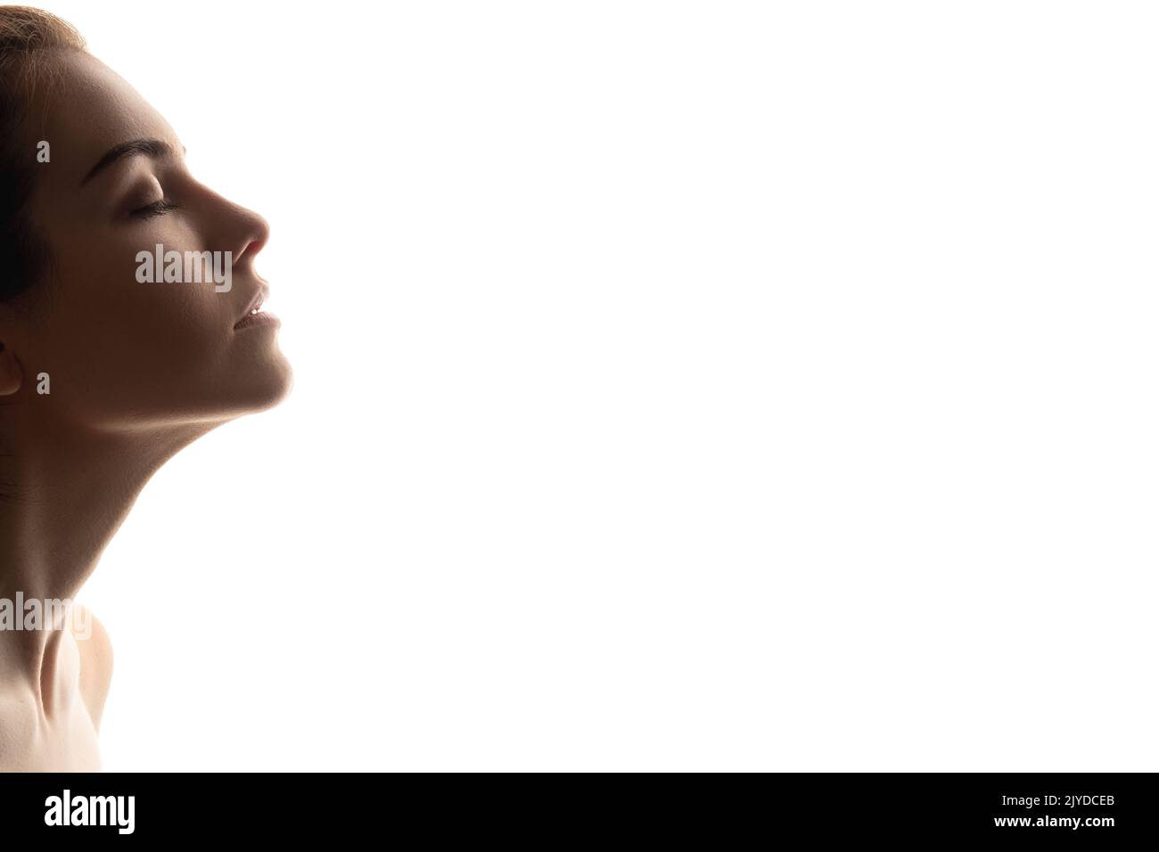 Woman Face Silhouette Profile