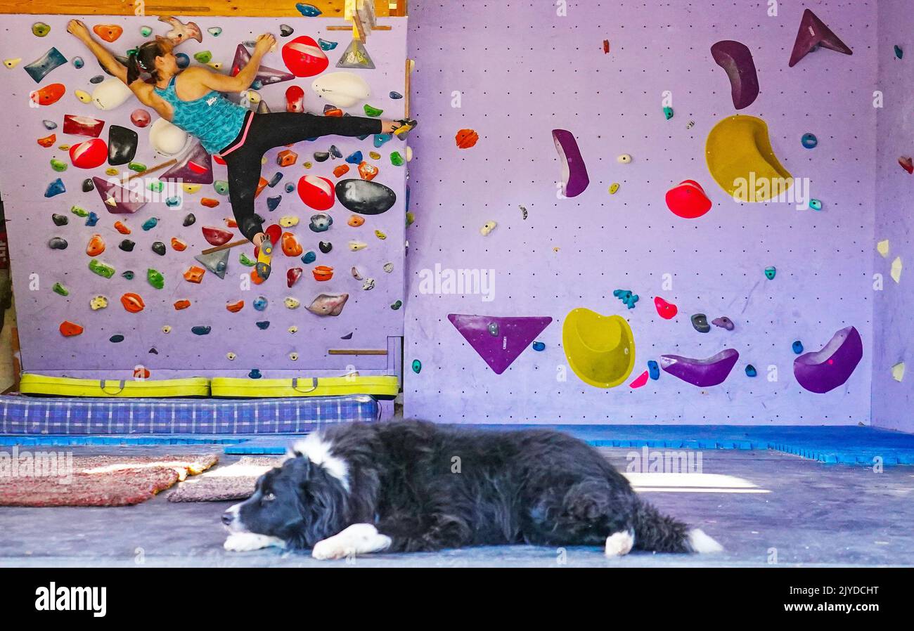 Australian climber Oceana Mackenzie trains at home in Melbourne ...