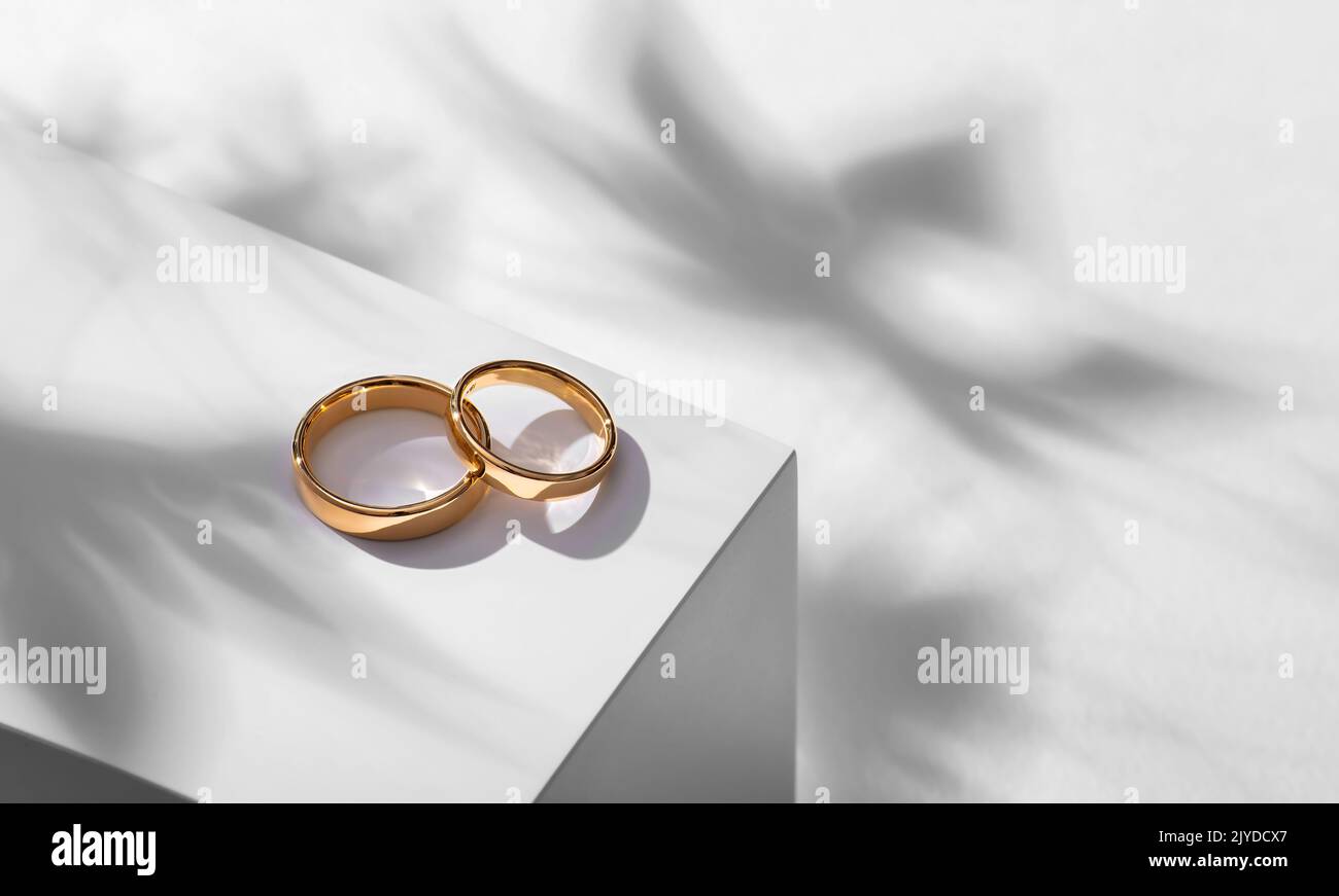 Burs isolated on white hi-res stock photography and images - Alamy