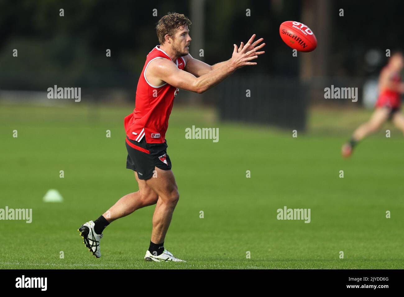 Luke Parker of the Swans grabs a mark during a Sydney Swan training ...