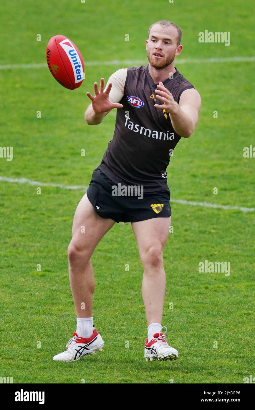 Tom Mitchell of the Hawks marks the ball during an AFL Hawks training ...