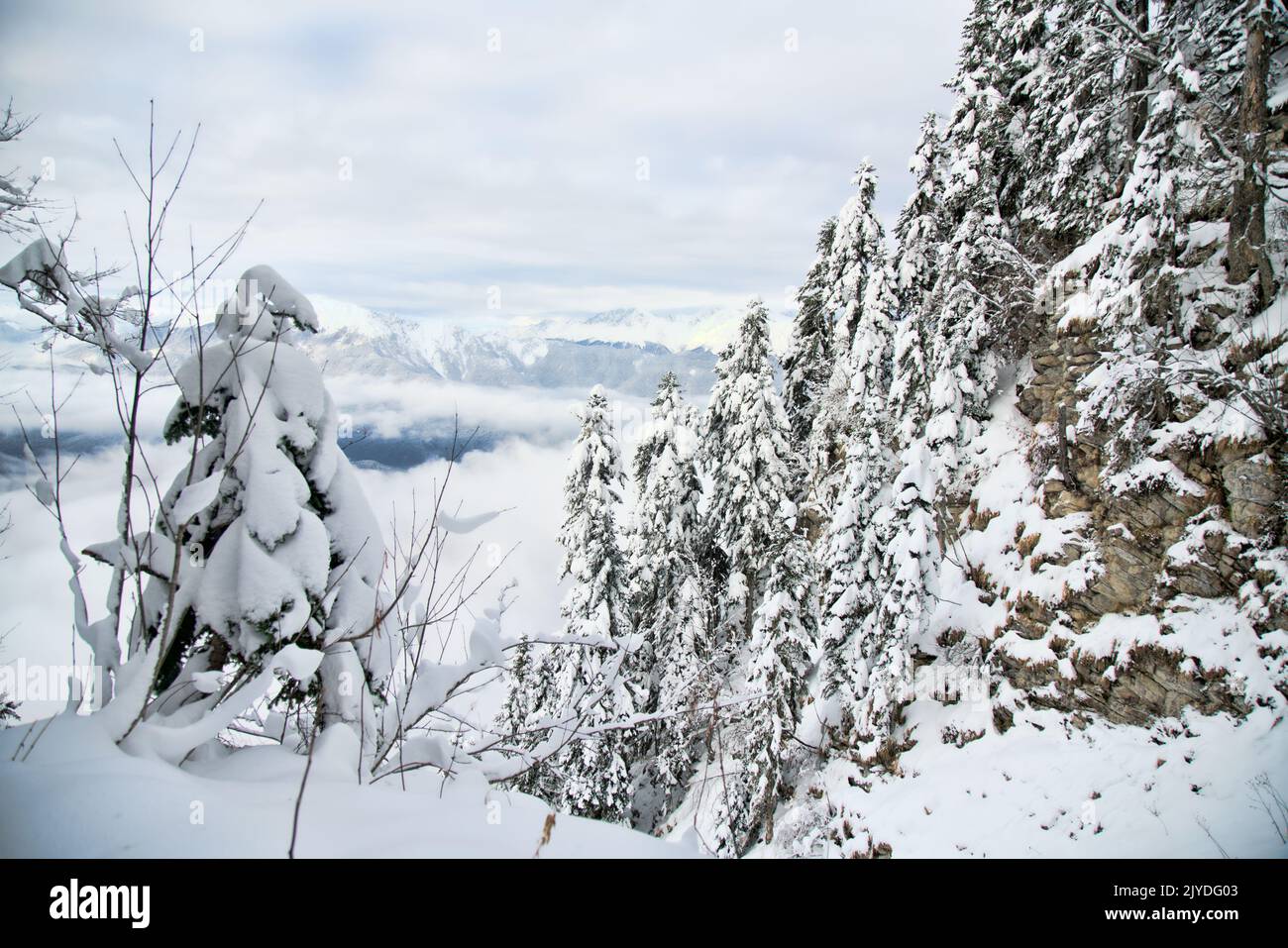 Snow-covered mountain forest. After heavy snowfall. Clouds covered the ...