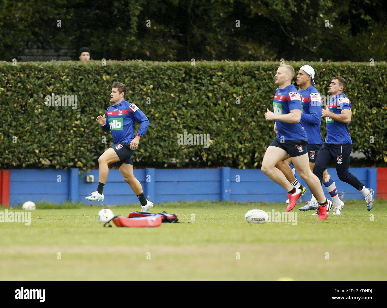 A fan catches a glimpse over a hedge of Knights new signing Andrew ...