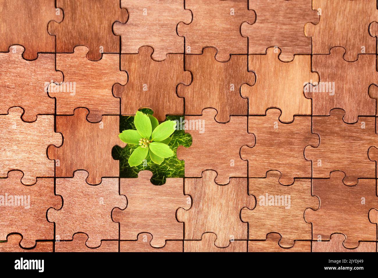 Fresh grass and small plant seen through a missing piece in a jigsaw ...