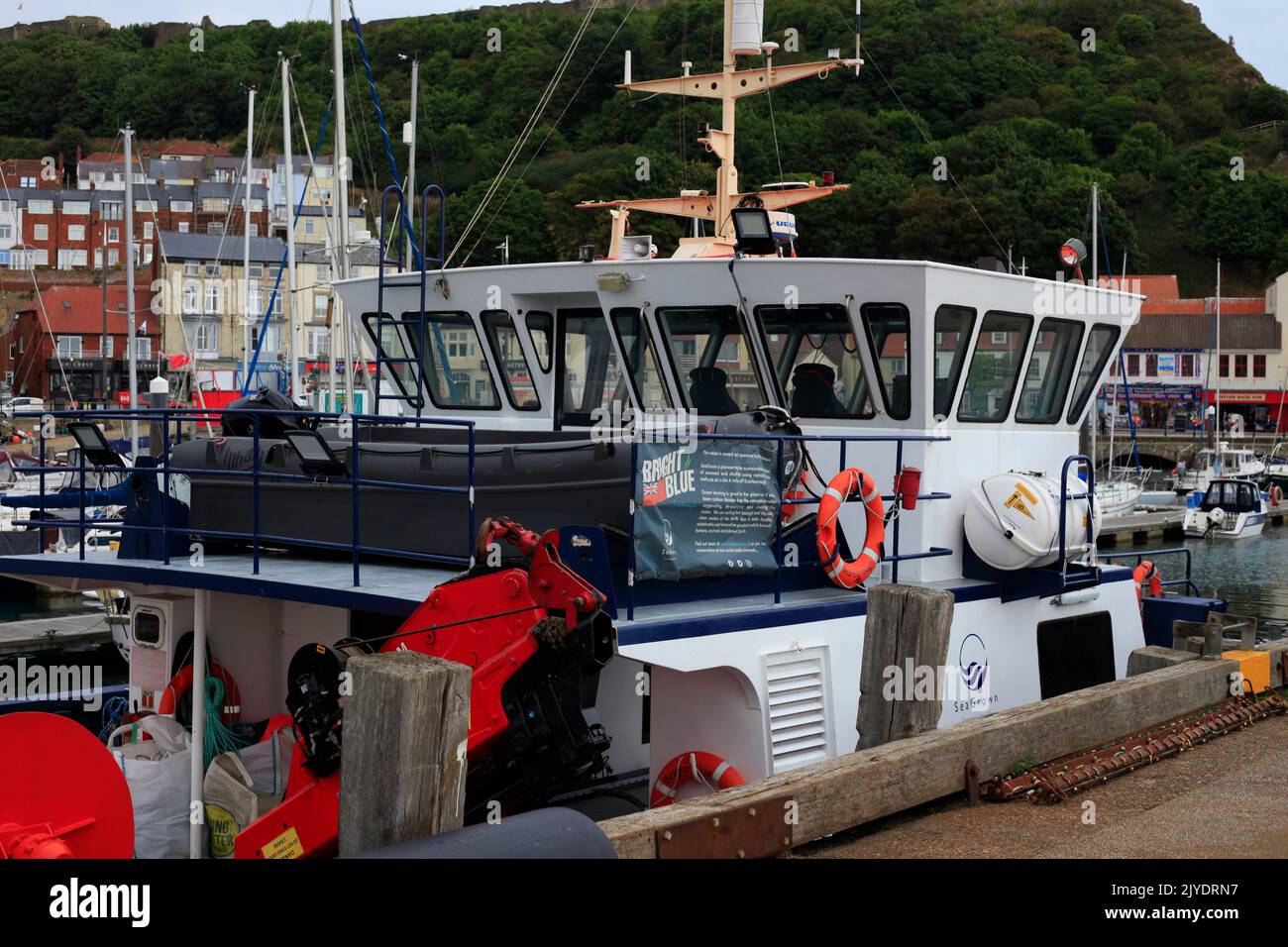 Seagrown boats in scarborough harbour yorkshire coast uk hi-res stock ...