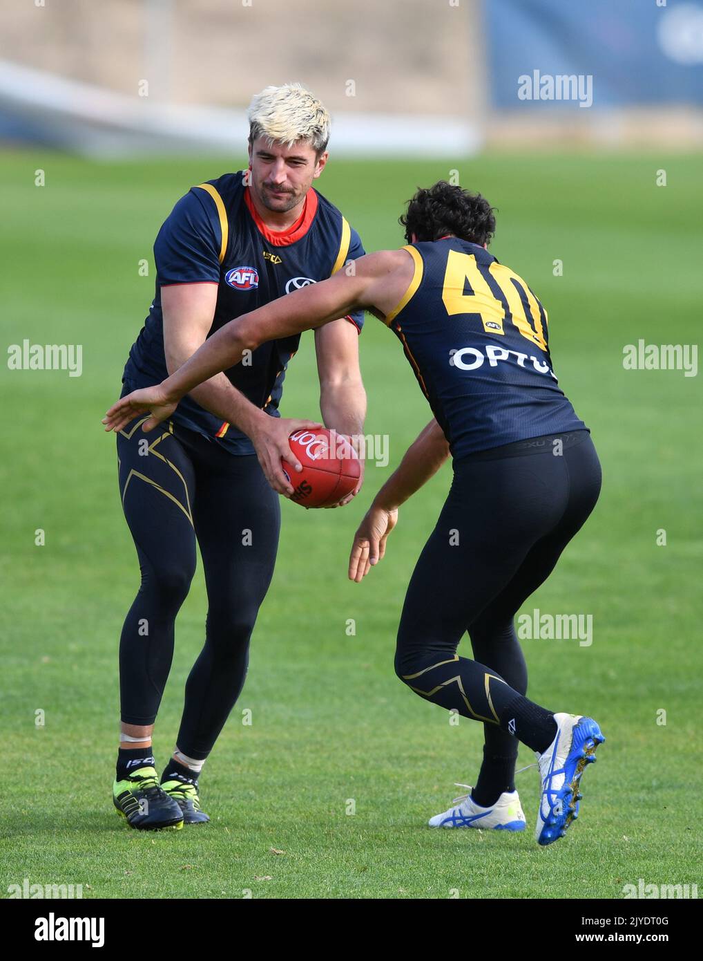 Patrick Wilson and Ben Davis of the Crows during an Adelaide Crows AFL ...