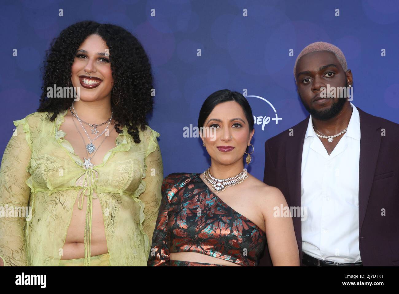 Amiri nash hi-res stock photography and images - Alamy