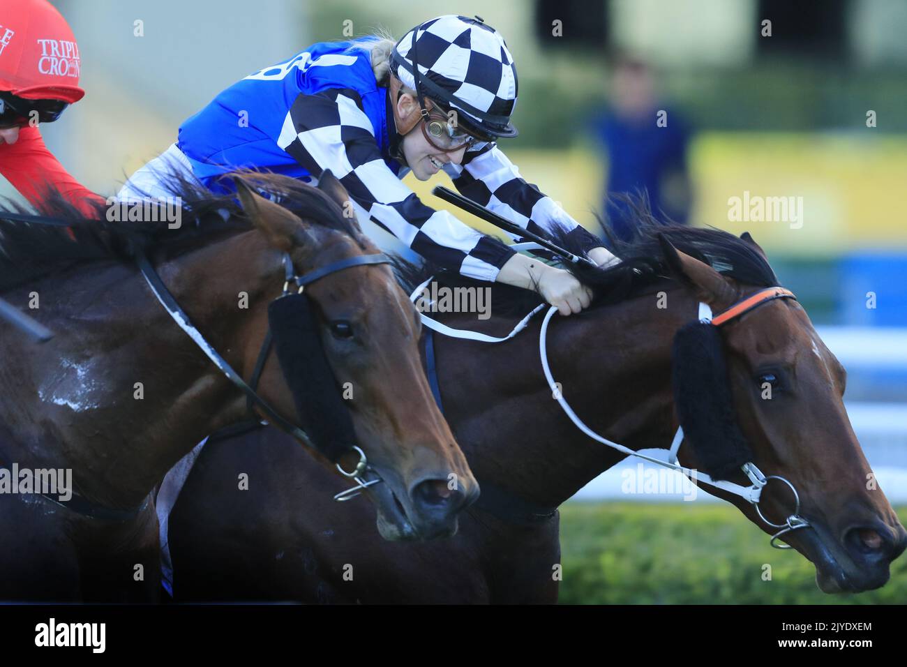 Louise Day on Wandabaa rides to victory in race 6 the Vale Darby ...