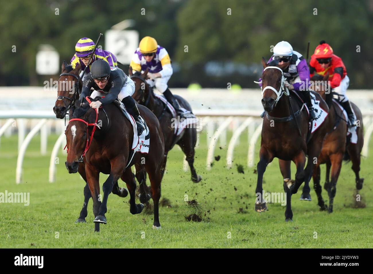 Jockey James McDonald rides Threeood to victory in race 7, the Ranvet ...