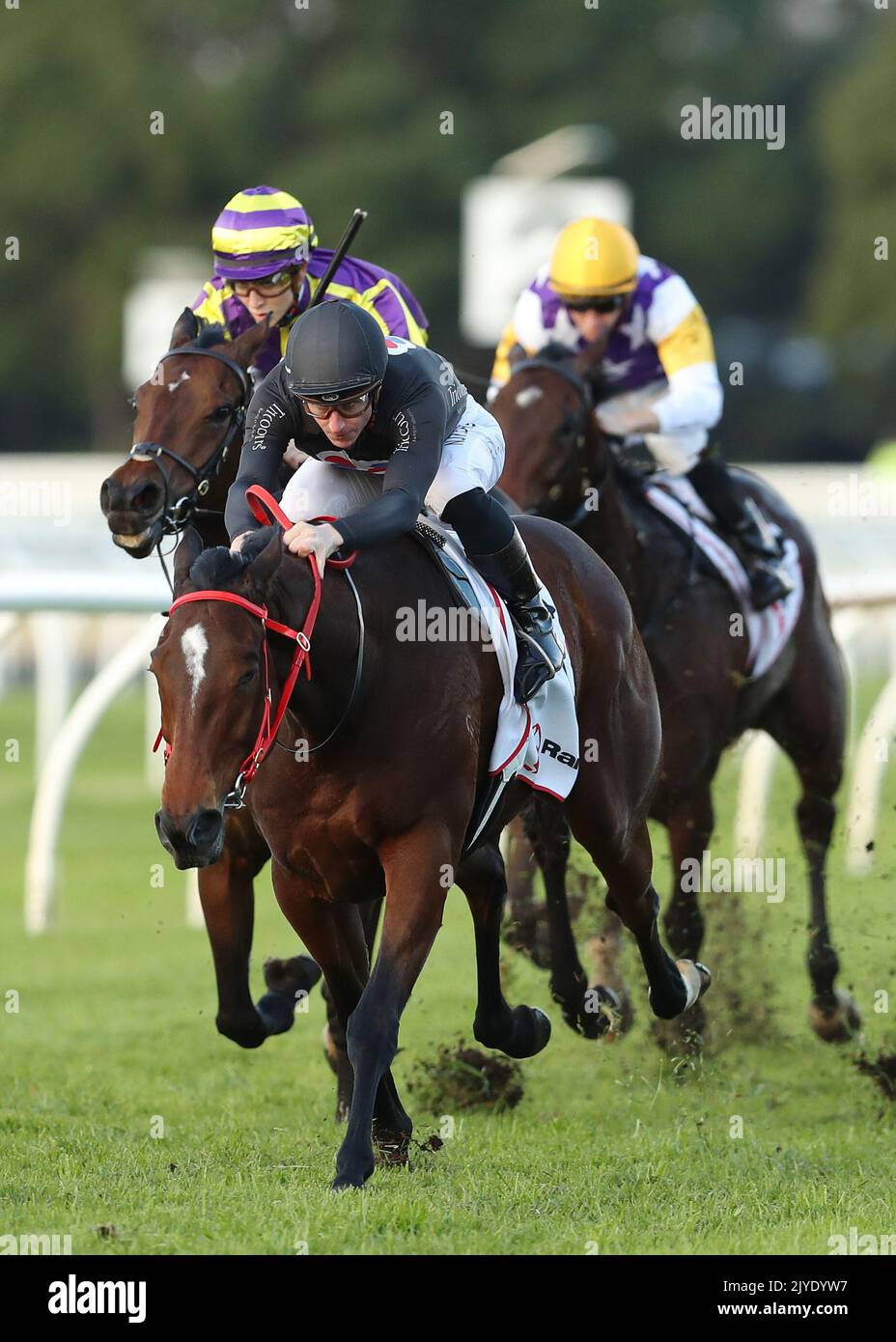 Jockey James McDonald rides Threeood to victory in race 7, the Ranvet ...