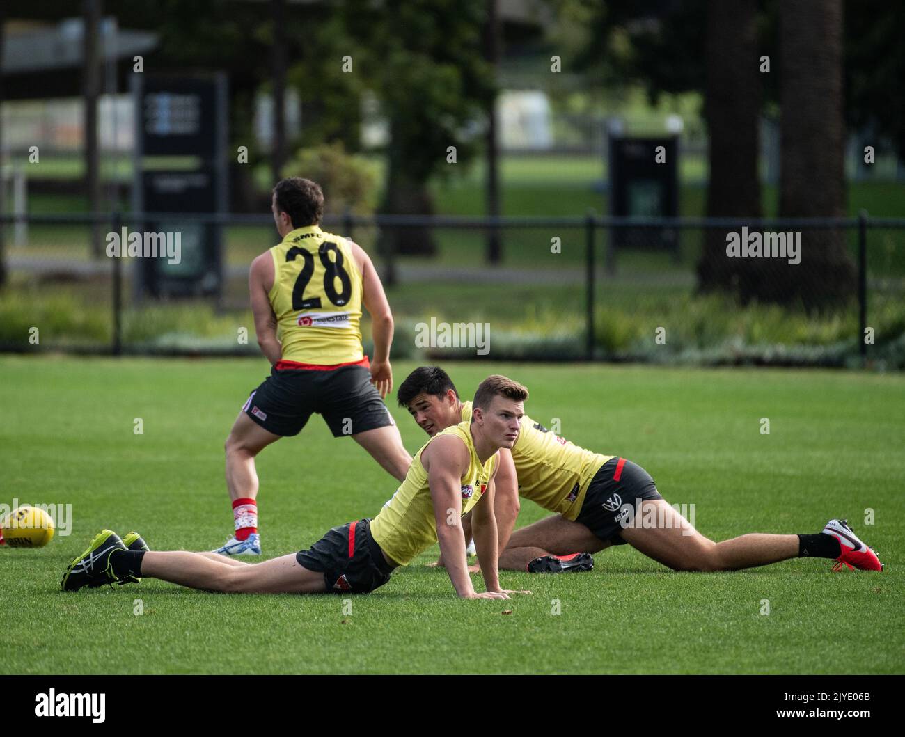 Sydney Swans players stretching during a Sydney Swans AFL training ...