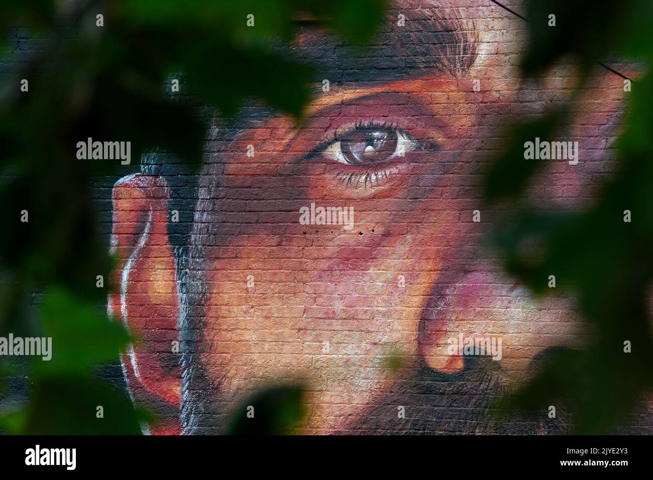 A mural of former AFL player Adam Goodes in Surry Hills, Sydney, Friday ...