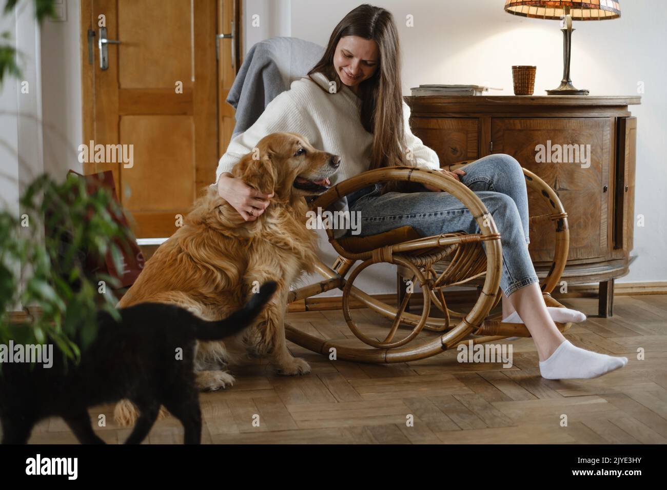 Young woman with dog Golden retriever, cat sitting on rocking chair ...