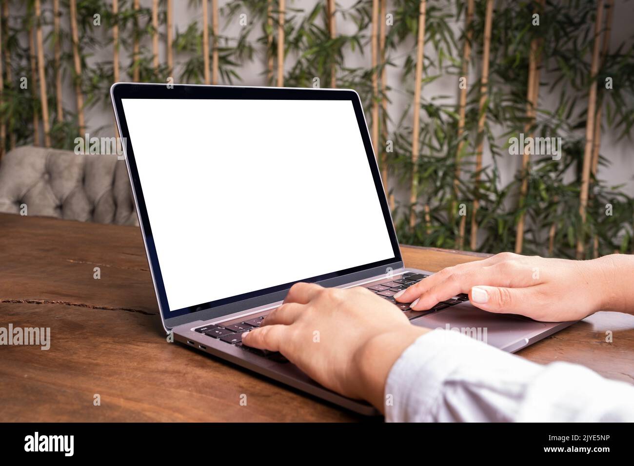 Laptop mock up, close up woman hands typing on laptop mock up ...