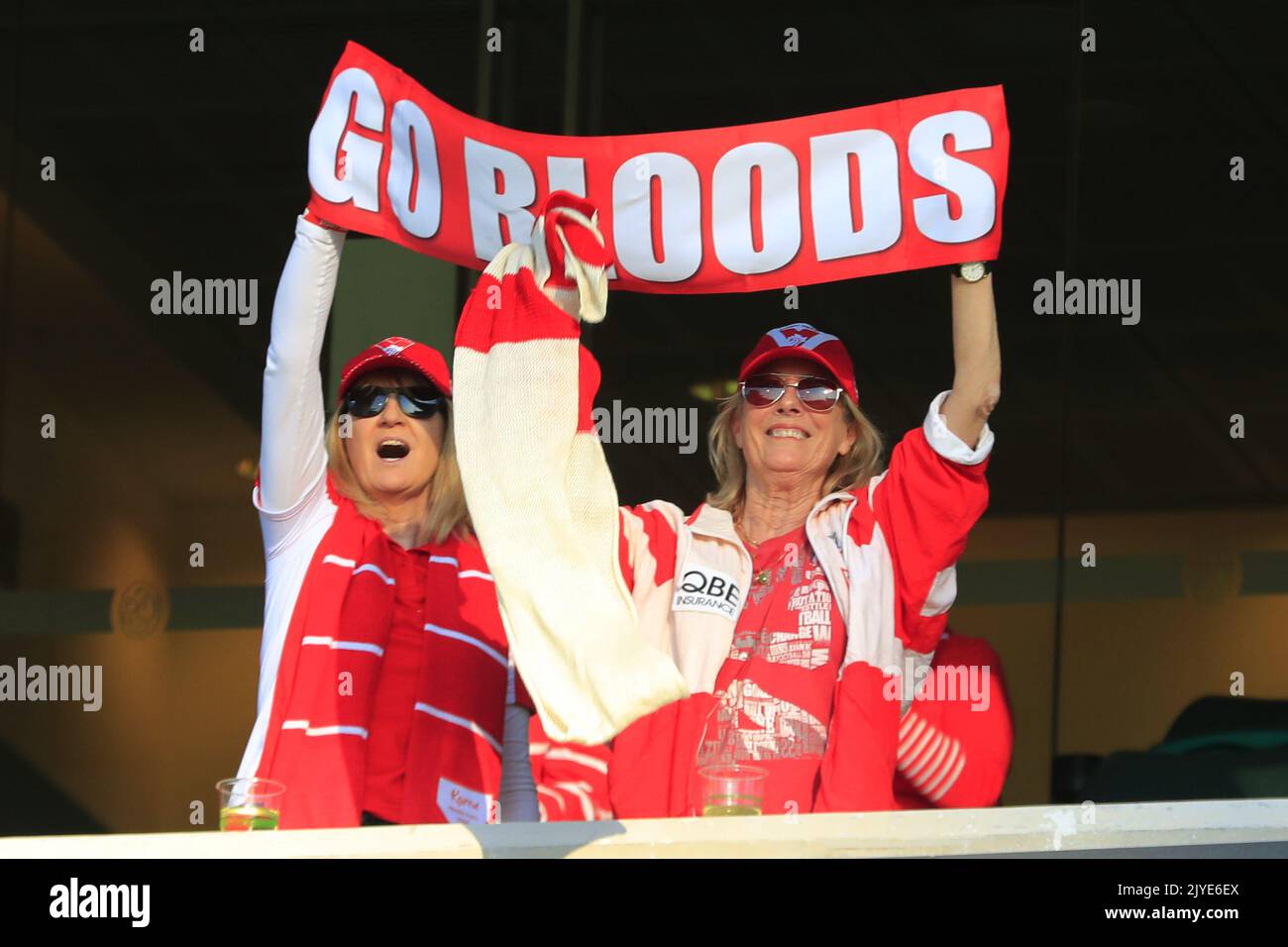 Swans fans cheer from high up in the stands during the Round 2 AFL ...