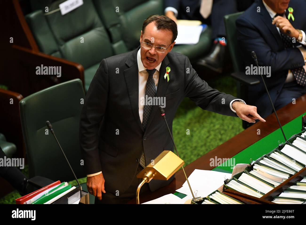 Victorian Opposition Leader Michael O'Brien speaks during question time ...