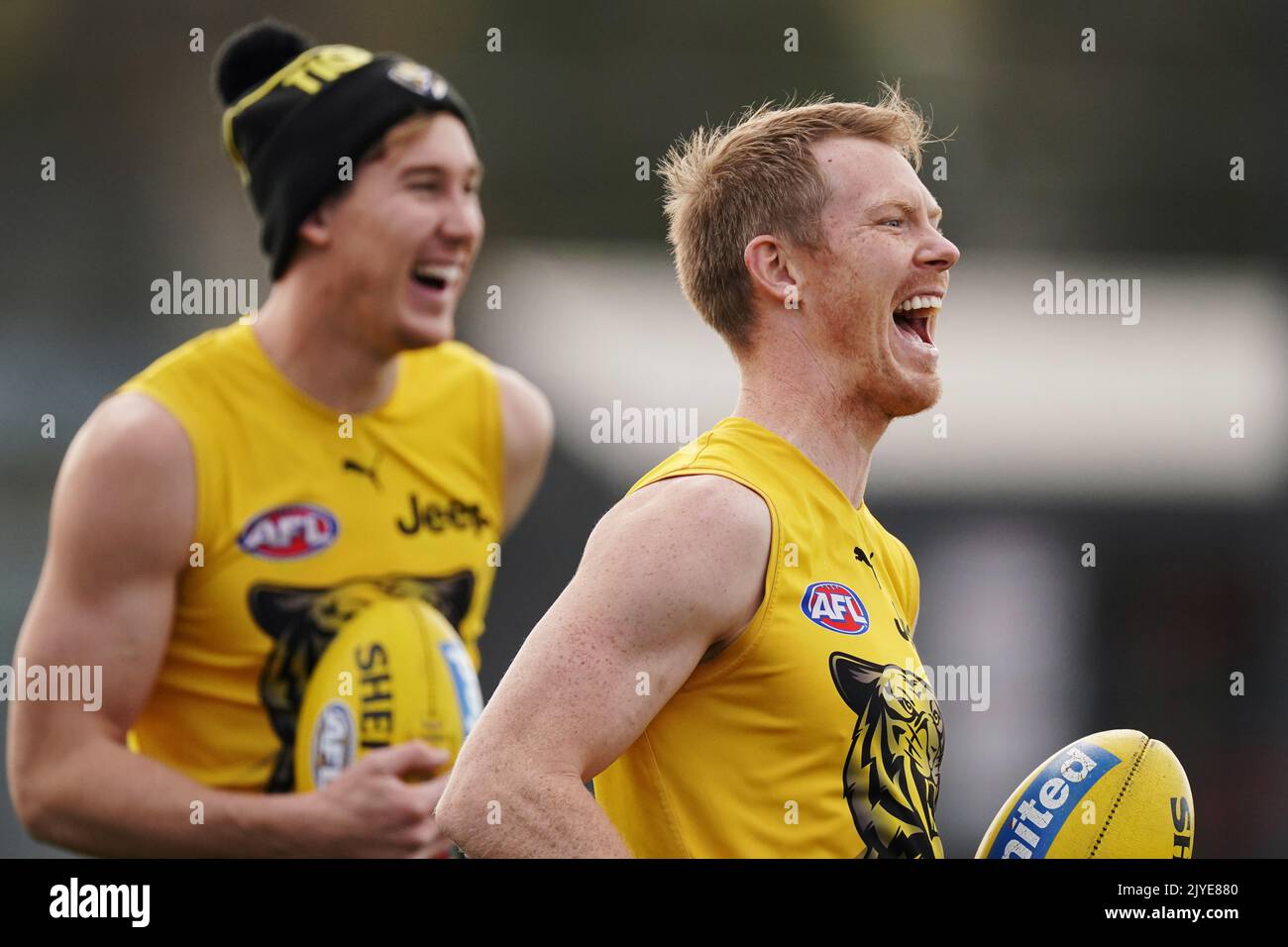 Jack Riewoldt of the Tigers reacts with Tom Lynch (left) during an AFL ...