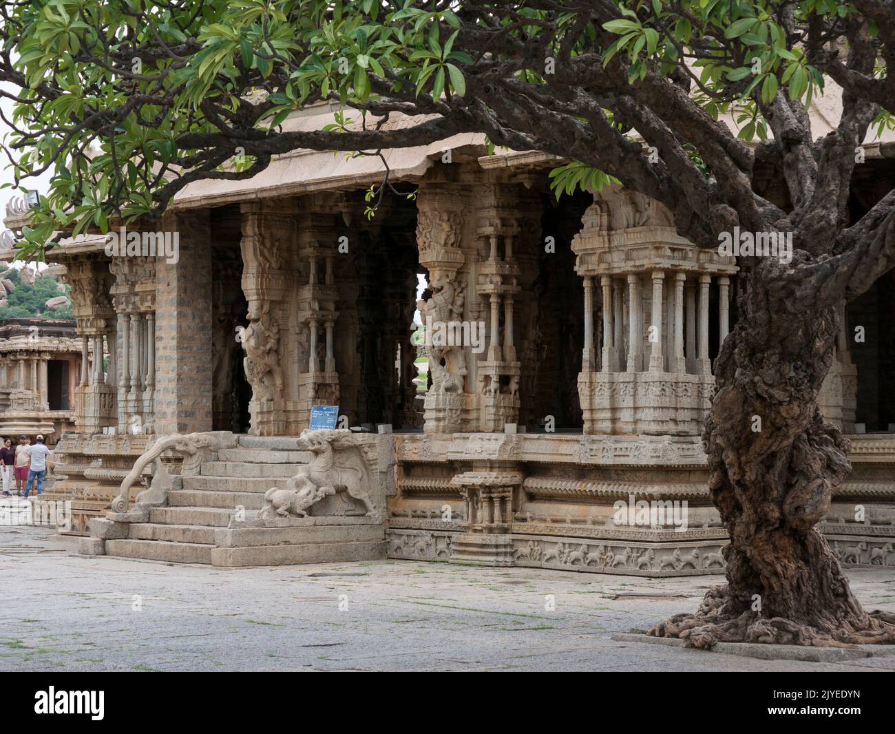 Details of ancient Vitthala Temple and his musical pillars at Hampi ...