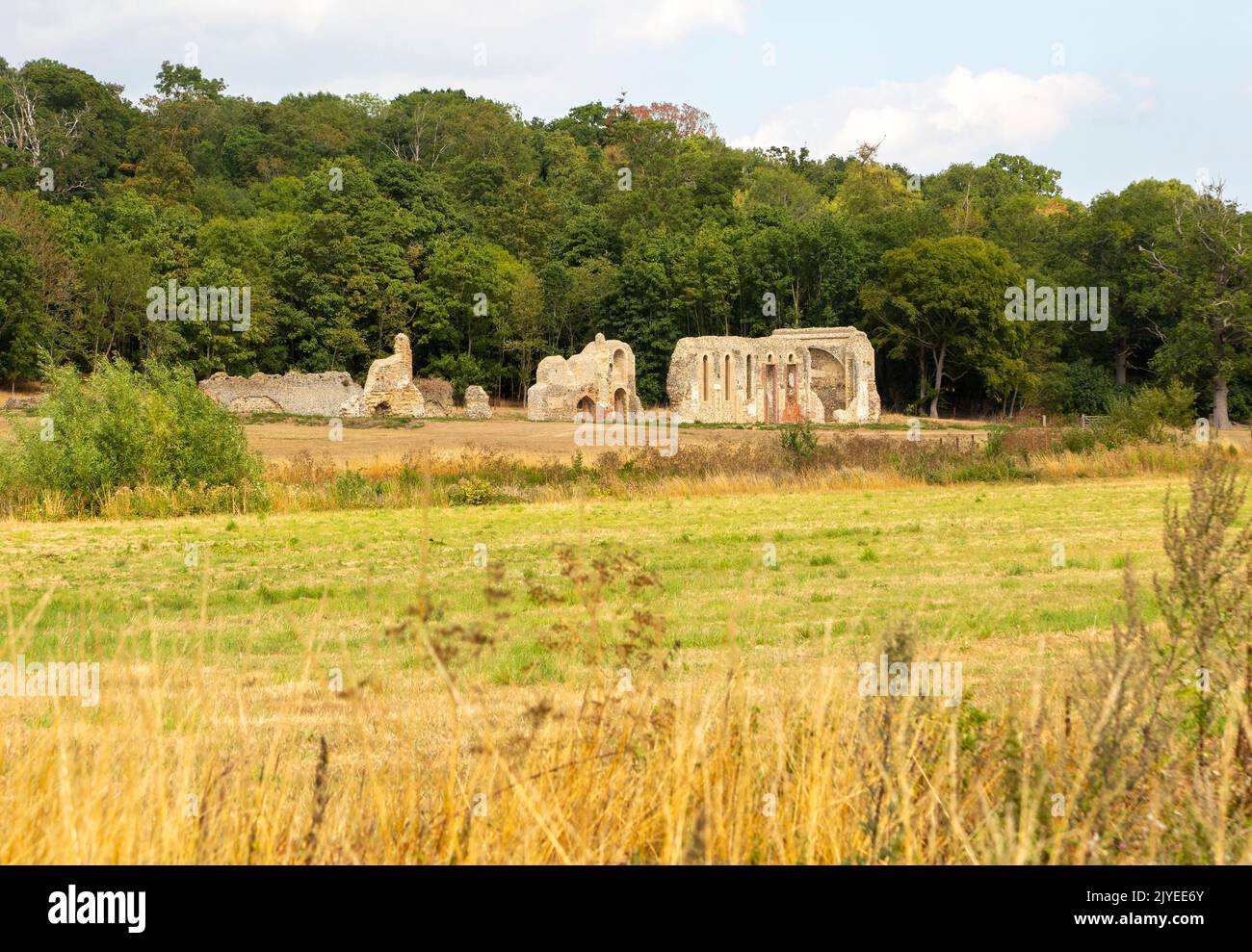Ruins of Sibton abbey, early Cistercian abbey building, Suffolk ...