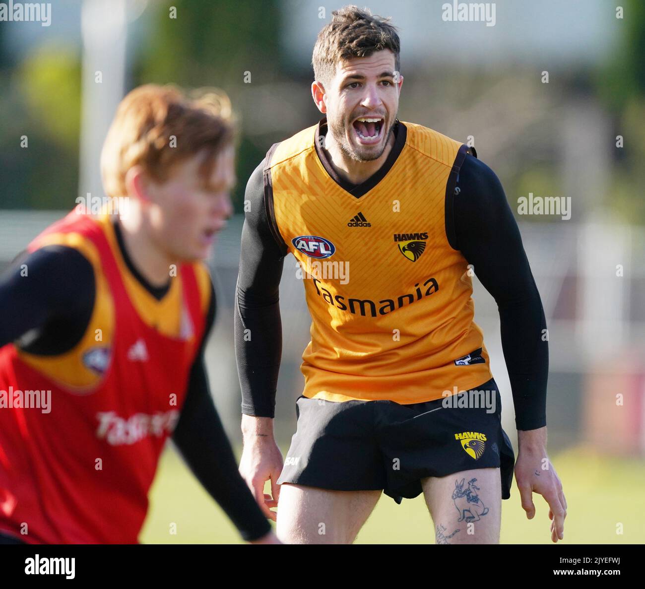 Ben Stratton of the Hawks reacts during an AFL Hawthorn Hawks training ...