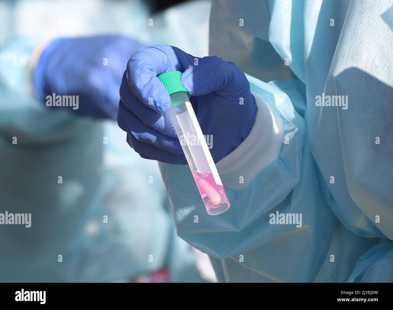 A testing swab is seen during community Covid-19 testing in ...