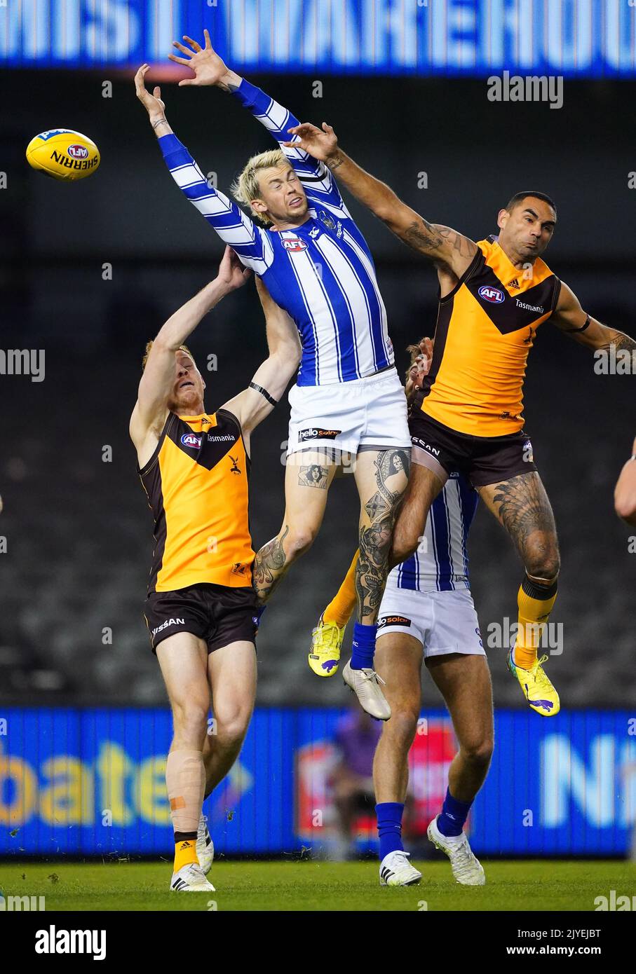 Jasper Pittard of the Kangaroos and Shaun Burgoyne of the Hawks compete ...