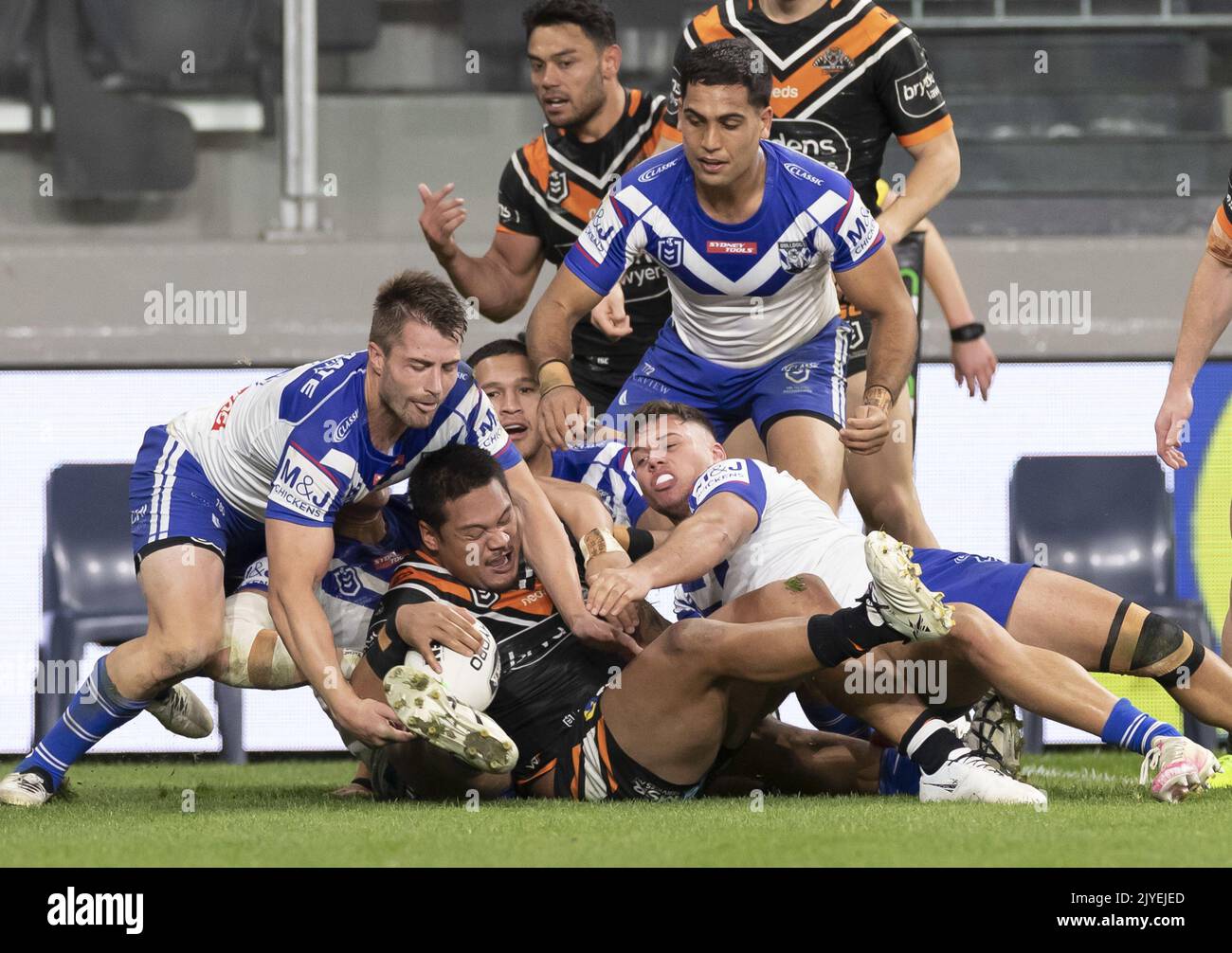 Joseph Leilua of the Tigers scores during the Round 7 NRL match between ...