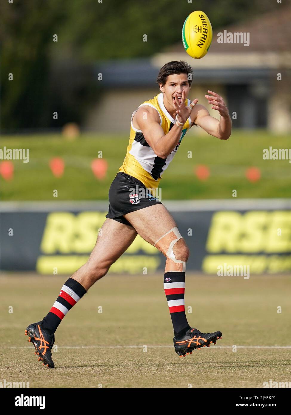 Jack Mayo marks the ball during an AFL St Kilda Saints training session at RSEA Park in ...