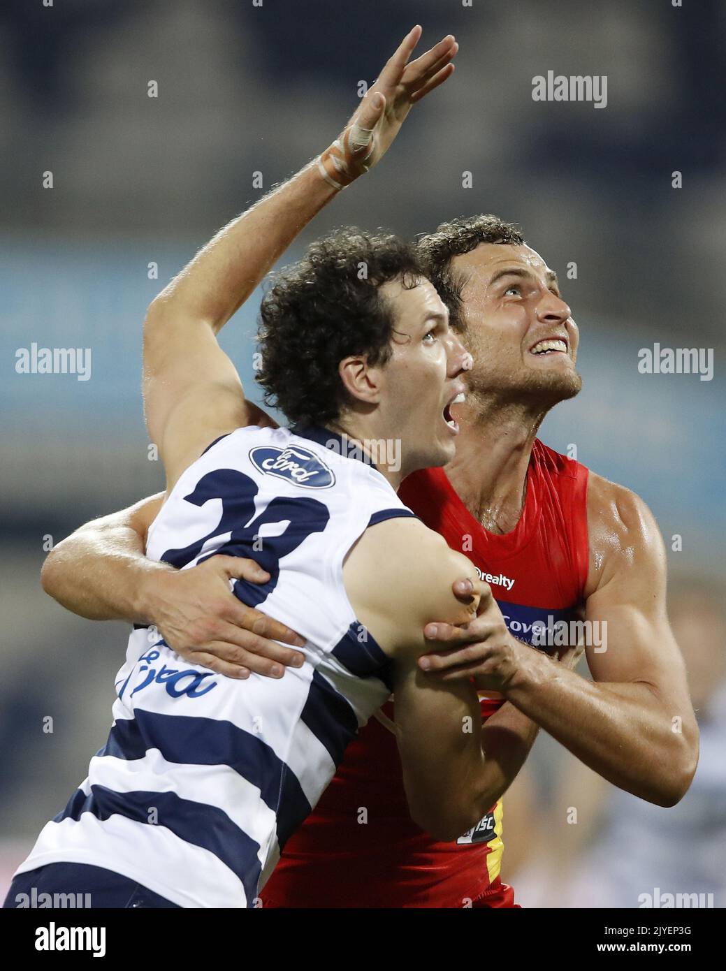 Darcy Fort of the Cats and Jarrod Witts of the Suns compete for the ...