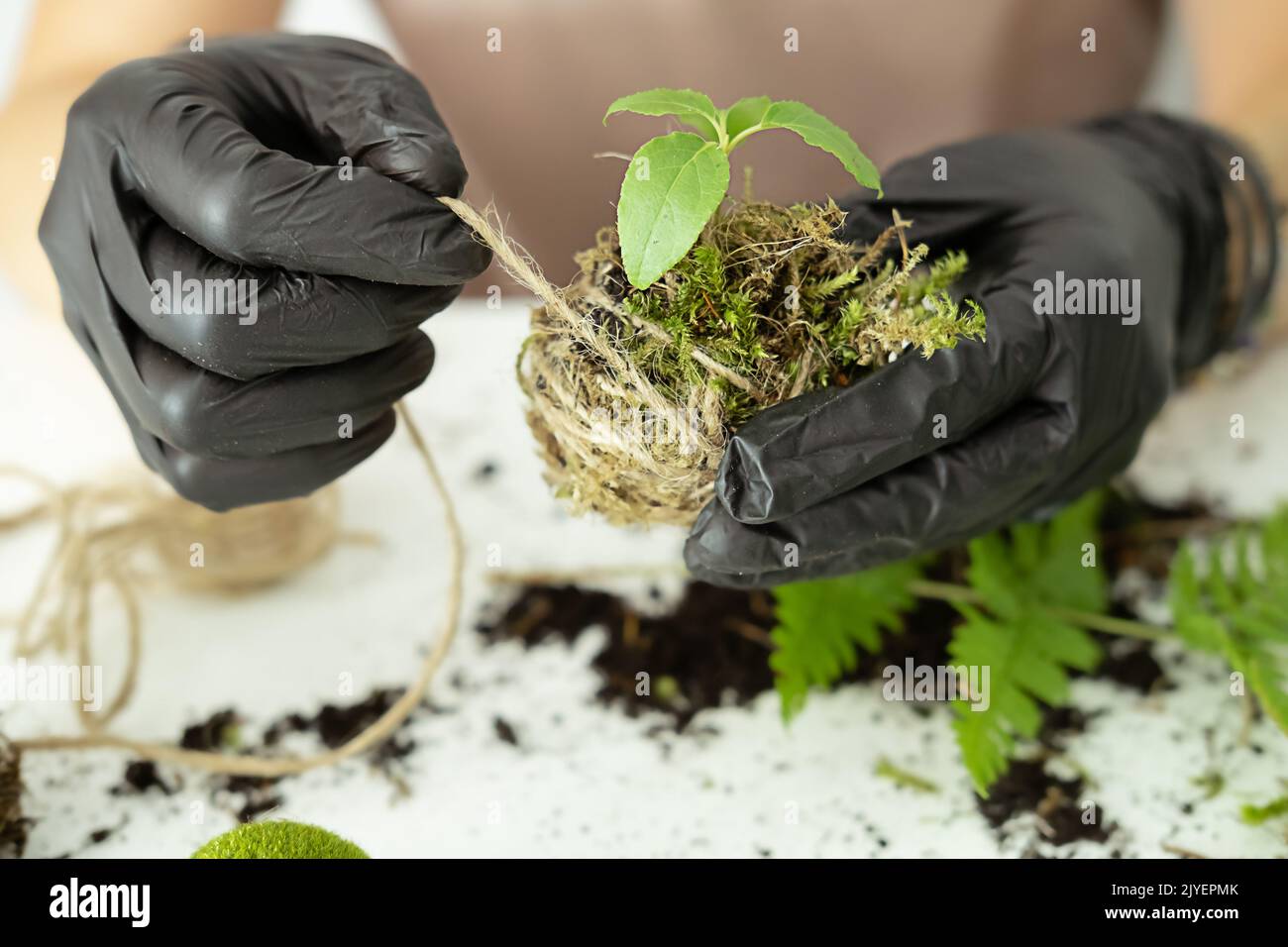 Biophilic crafting hi-res stock photography and images - Alamy