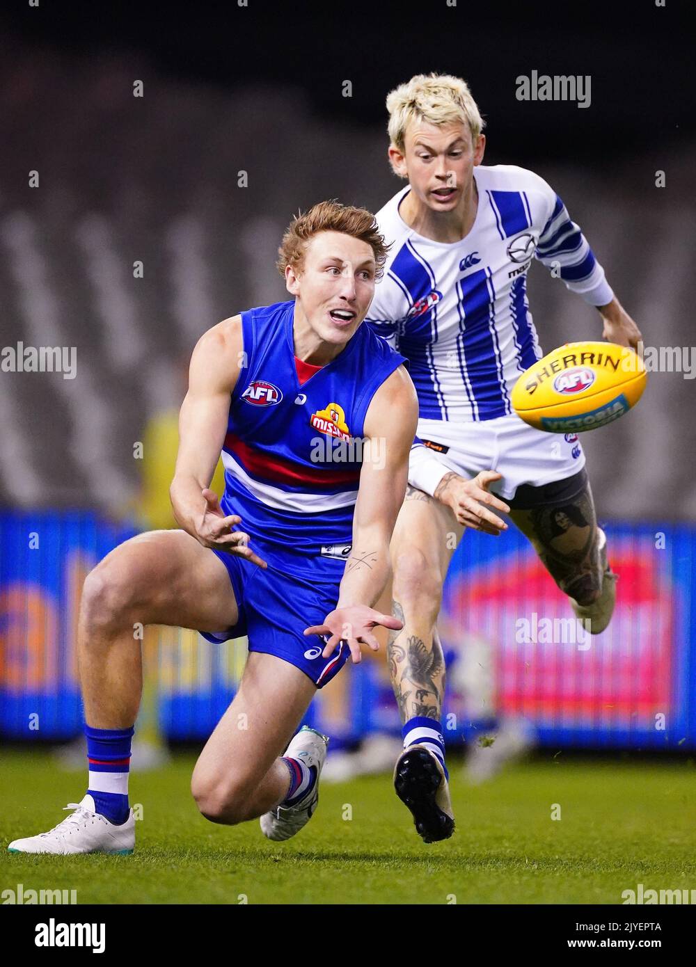 Bailey Dale of the Bulldogs marks the ball during the Round 5 AFL match ...