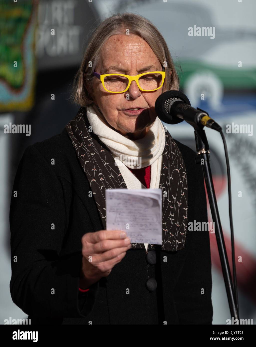 Former Greens senator Lee Rhiannon speaks outside the Downing Centre in ...
